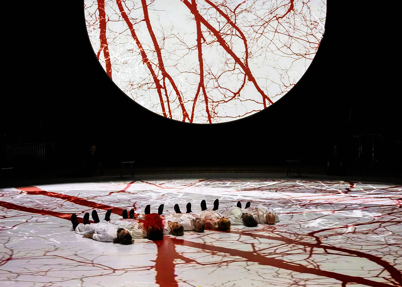 Indra’s Vast Net – Fjord Review