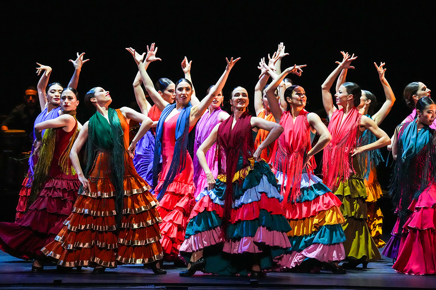 Flamenco in Photos – Fjord Review