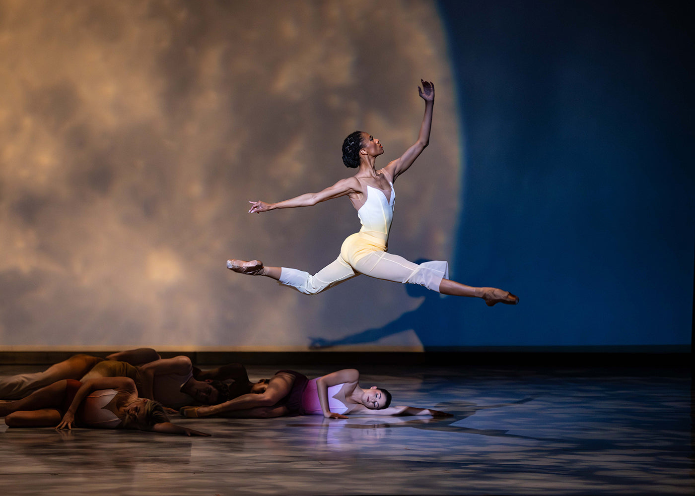 Asian Voices – Fjord Review