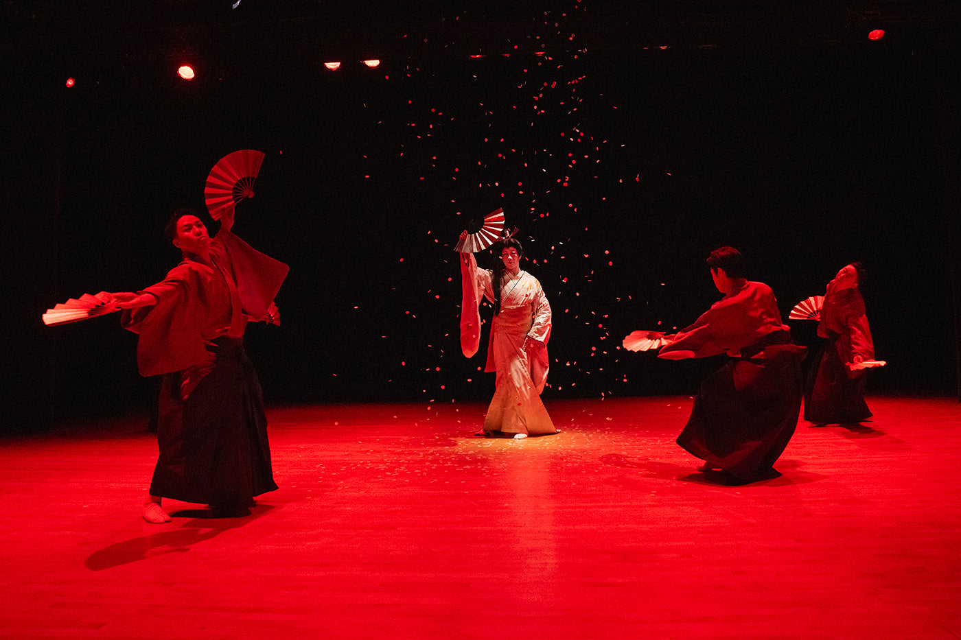 Timeless Expression – Fjord Review