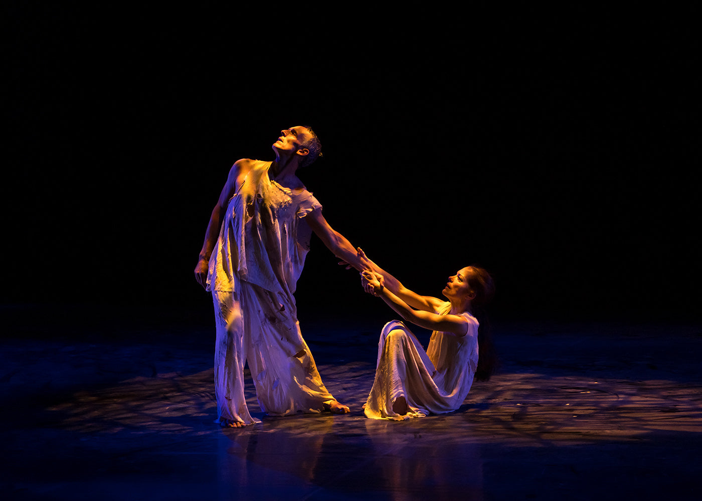 Reflections, Reverence, and Spellbinding Artistry – Fjord Review