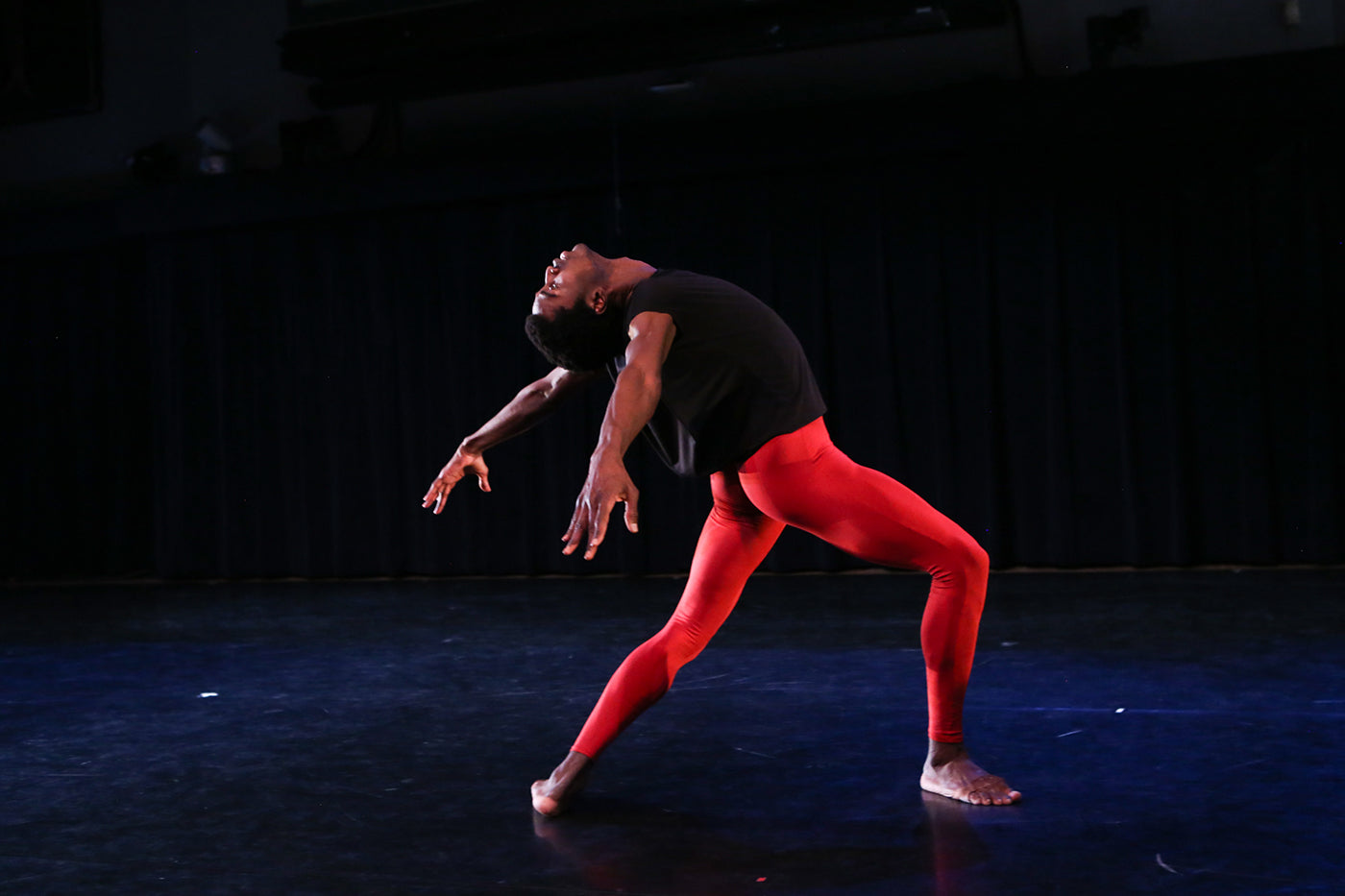 The Dancer Decides – Fjord Review