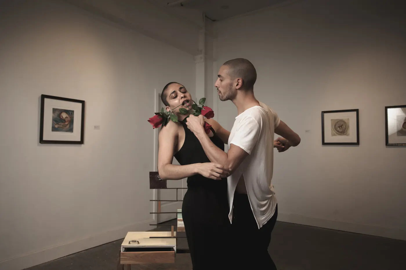 Gaga for Danielle Agami – Fjord Review