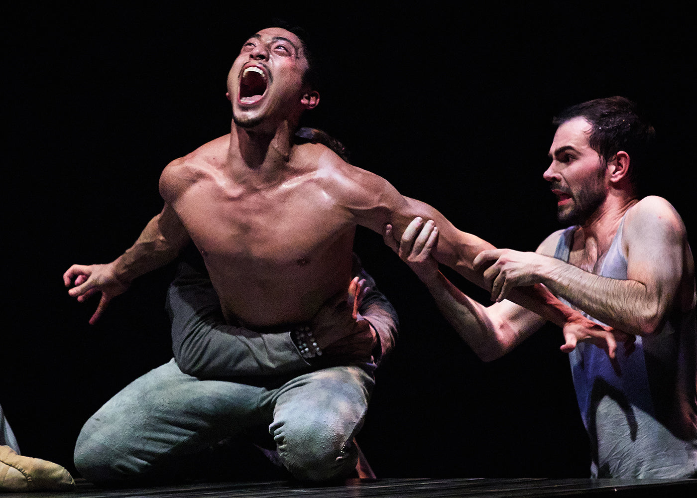 Chaos Within – Fjord Review