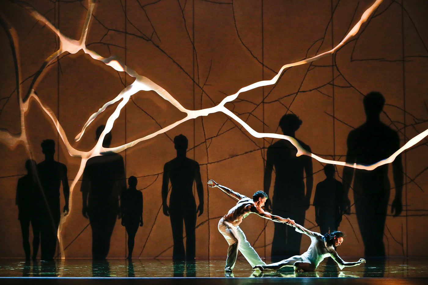 Golden Threads – Fjord Review