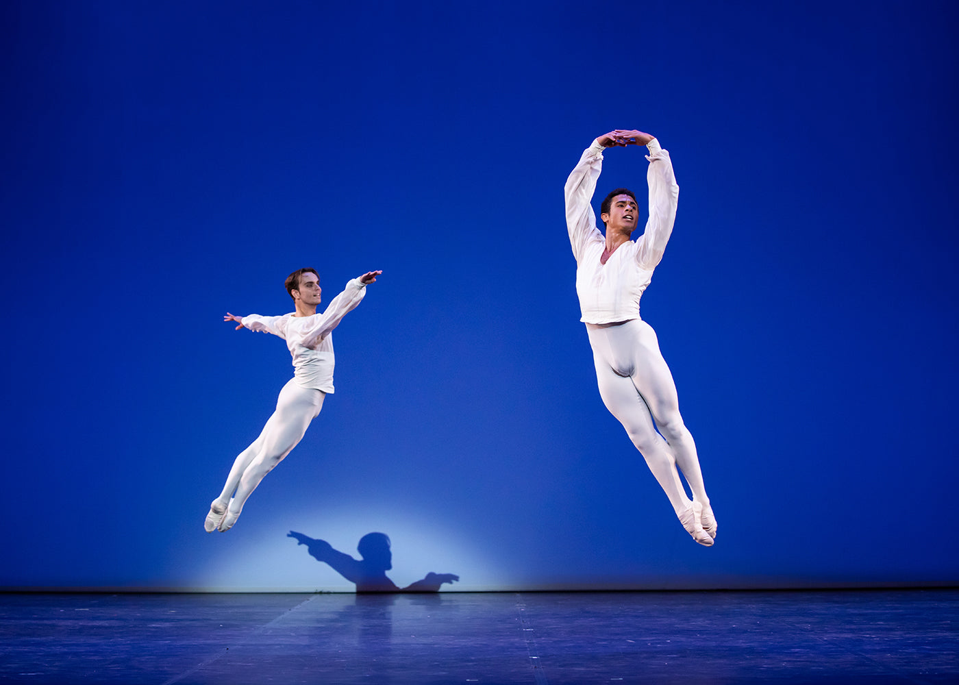 A Belated Celebration – Fjord Review