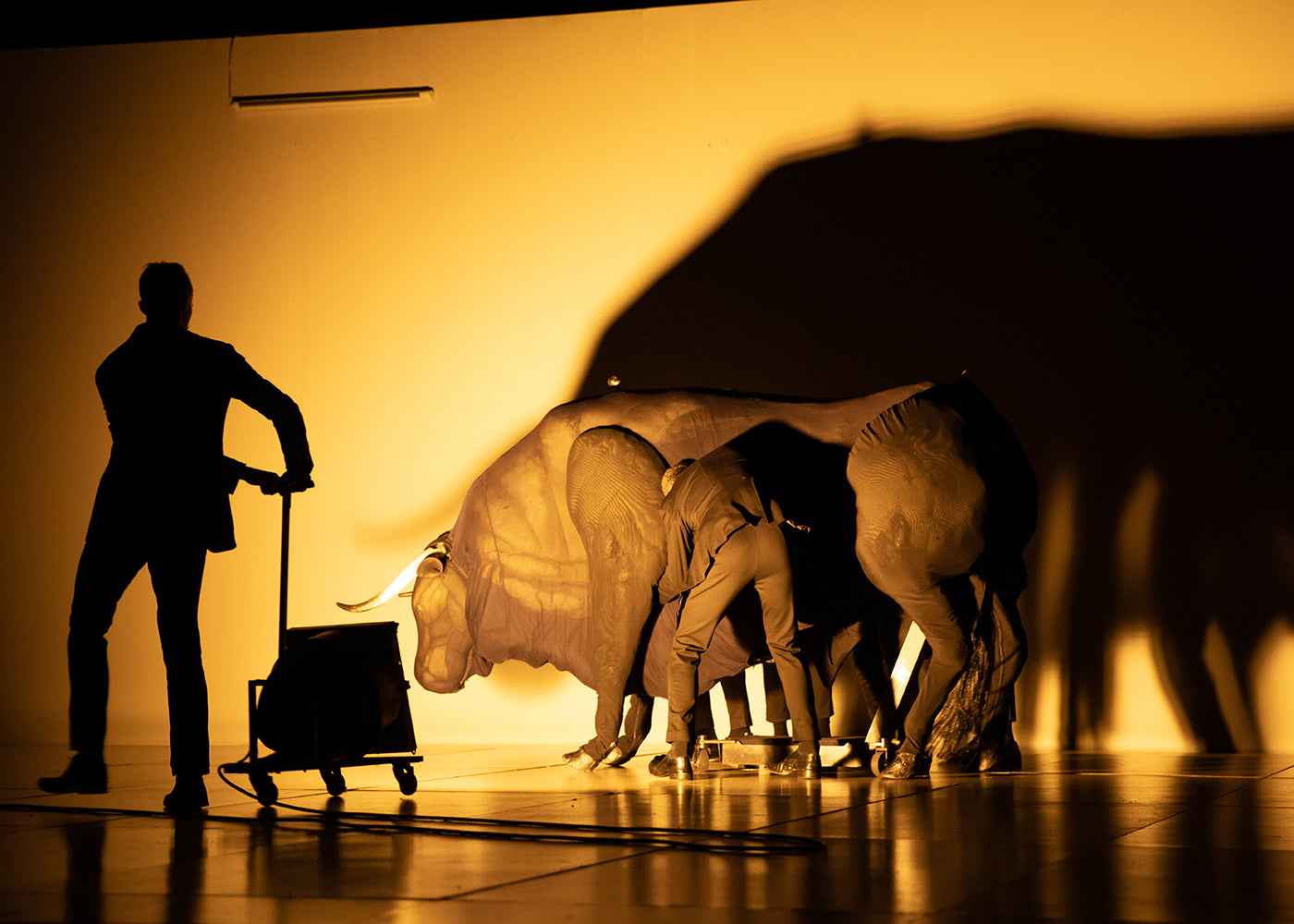 Extending the Limits – Fjord Review